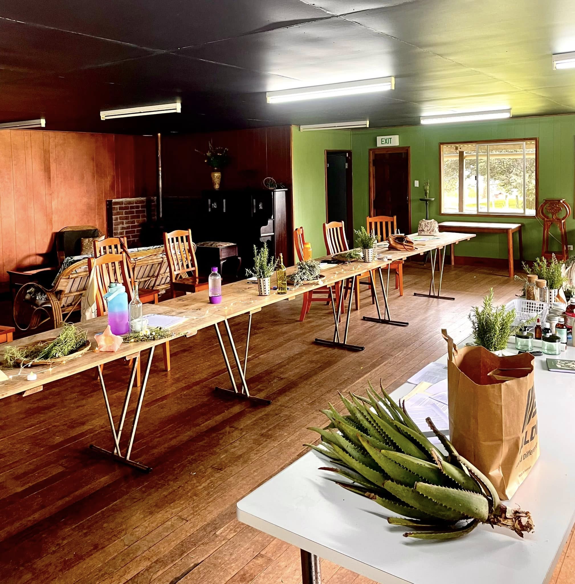 Behind the Scenes at Blue Haze: A Season of Herbal Workshops ...